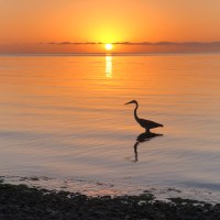 LORETO BAY NATIONAL PARK INTERACTIVE MAP – Baja Dreaming